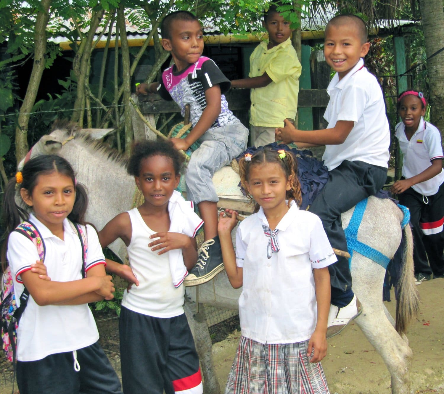 MBB 2015 Year-in-Review - Mediators Beyond Borders International